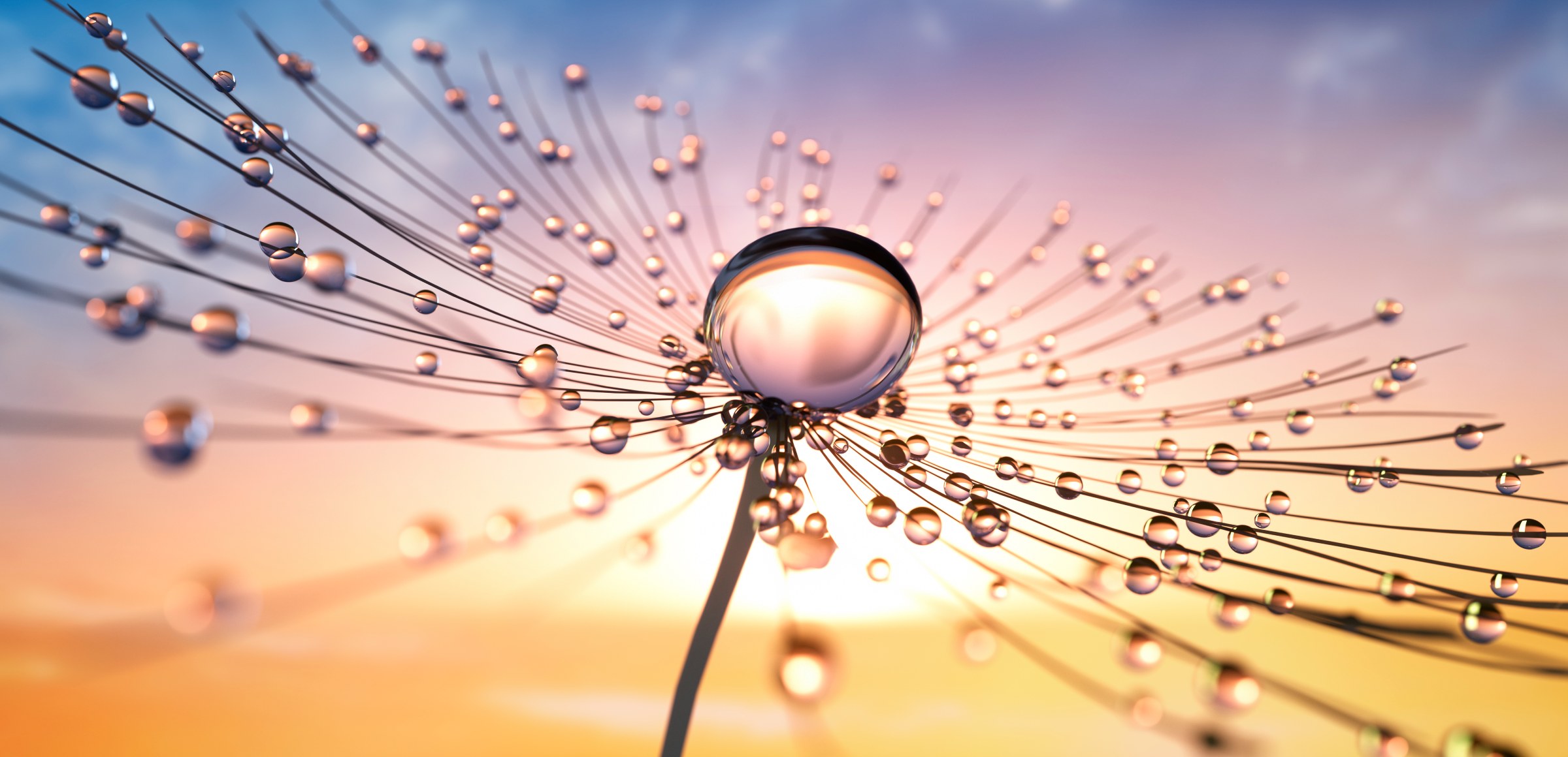 Innovation and Sustainability | Enel Global Trading