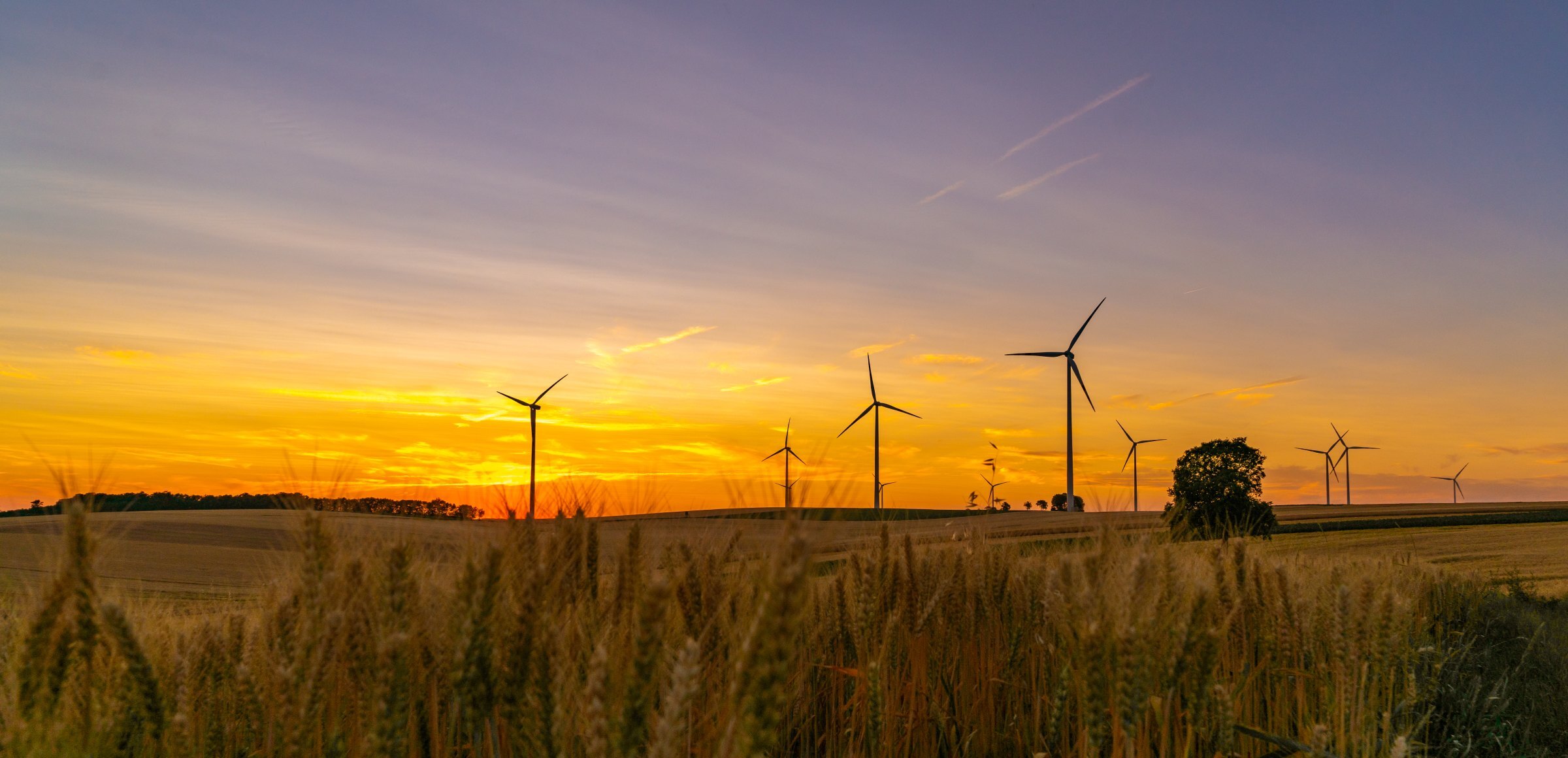 PPA: Help us to improve more! | Enel Global Trading